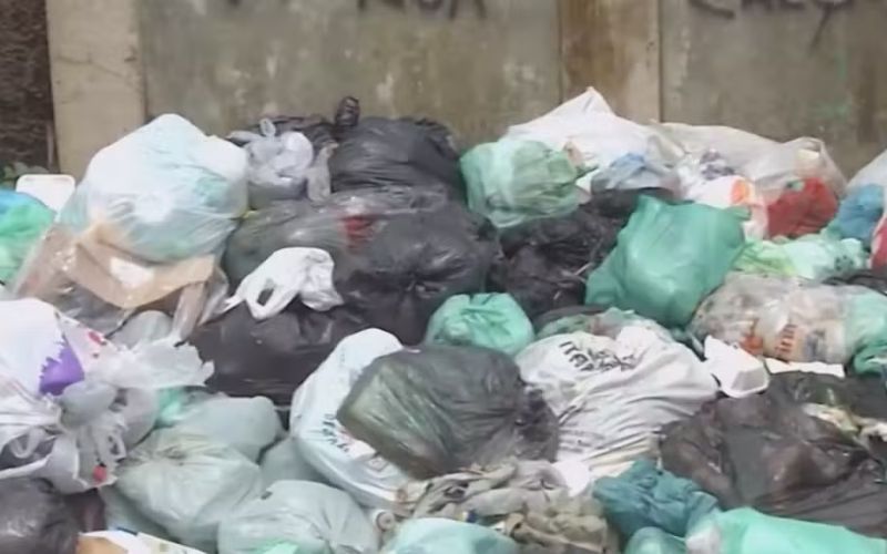 Lixo se acumula em Ananindeua após mais de 15 dias sem coleta ...